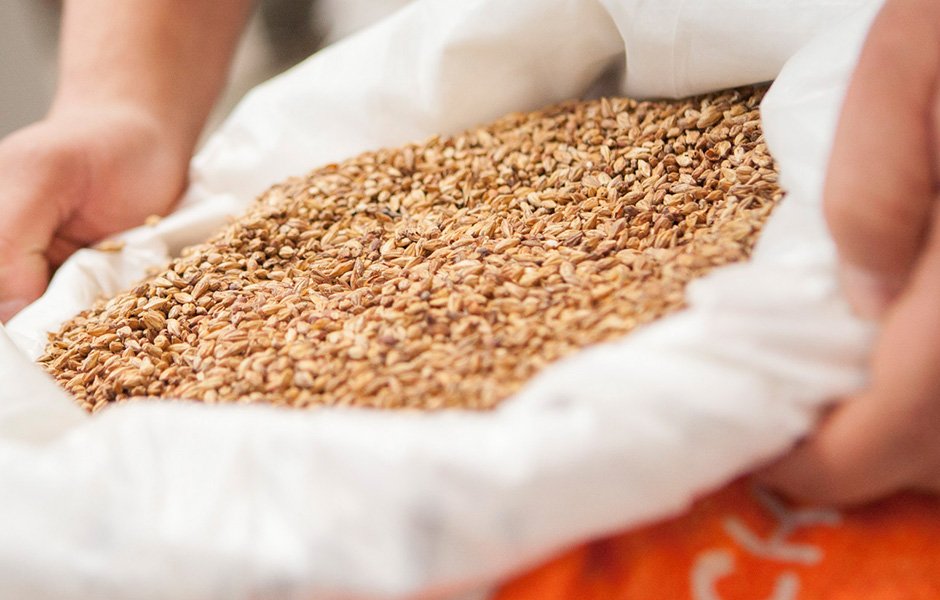 Welches Malz bringt welchen Geschmack? - BrewCraft